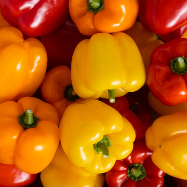 Products | Pure Flavor®