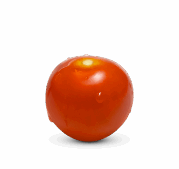 Azuca Tomatoes | Pure Flavor®