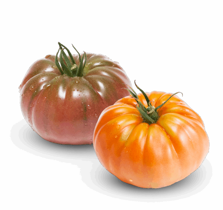 Heirloom Tomatoes | Pure Flavor®